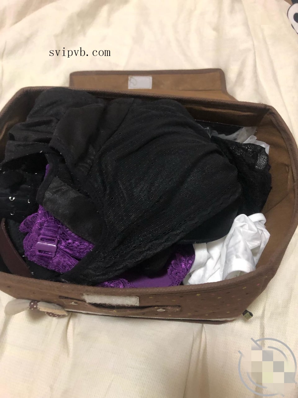 [超全连载:39岁小姨妈]小姨妈39岁了带着小表妹过着离异生活——来自海角的真实故事整理